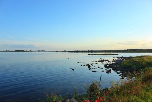 Why We’re Moving – Notes from the Sub-Basement of Mars